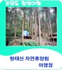 강원도여행 횡성 청태산 자연휴양림 캠핑장 숲속의 야영장 네이버 블로그